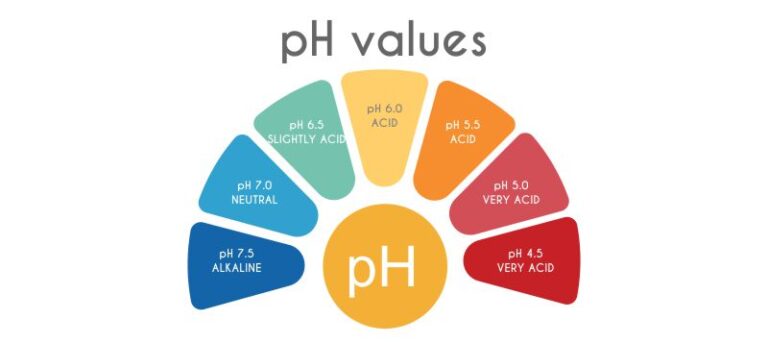 Cancer Prevention, how To Check Your pH Balance