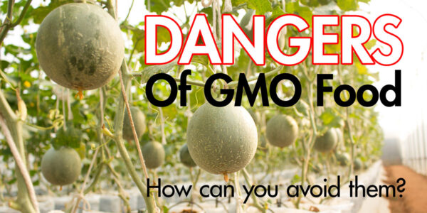 The Dangers of GMO Foods and How You Can Avoid Them